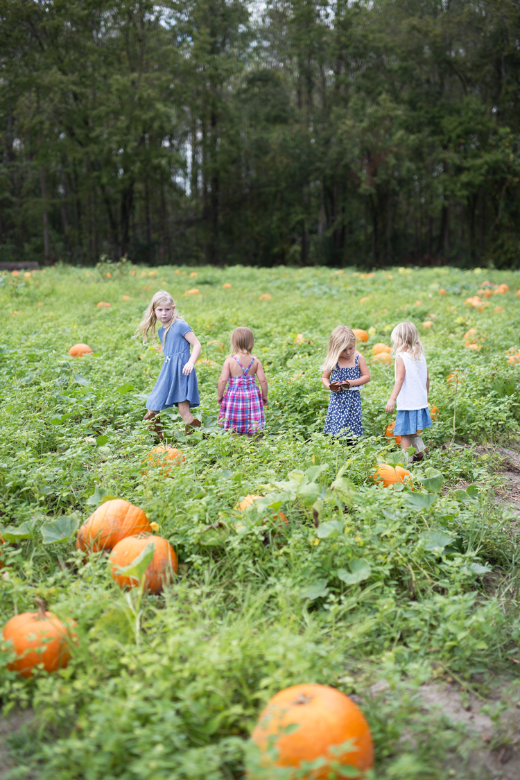 Fall in America! Hayrides & Pumpkin Patches - Marshalls Abroad
